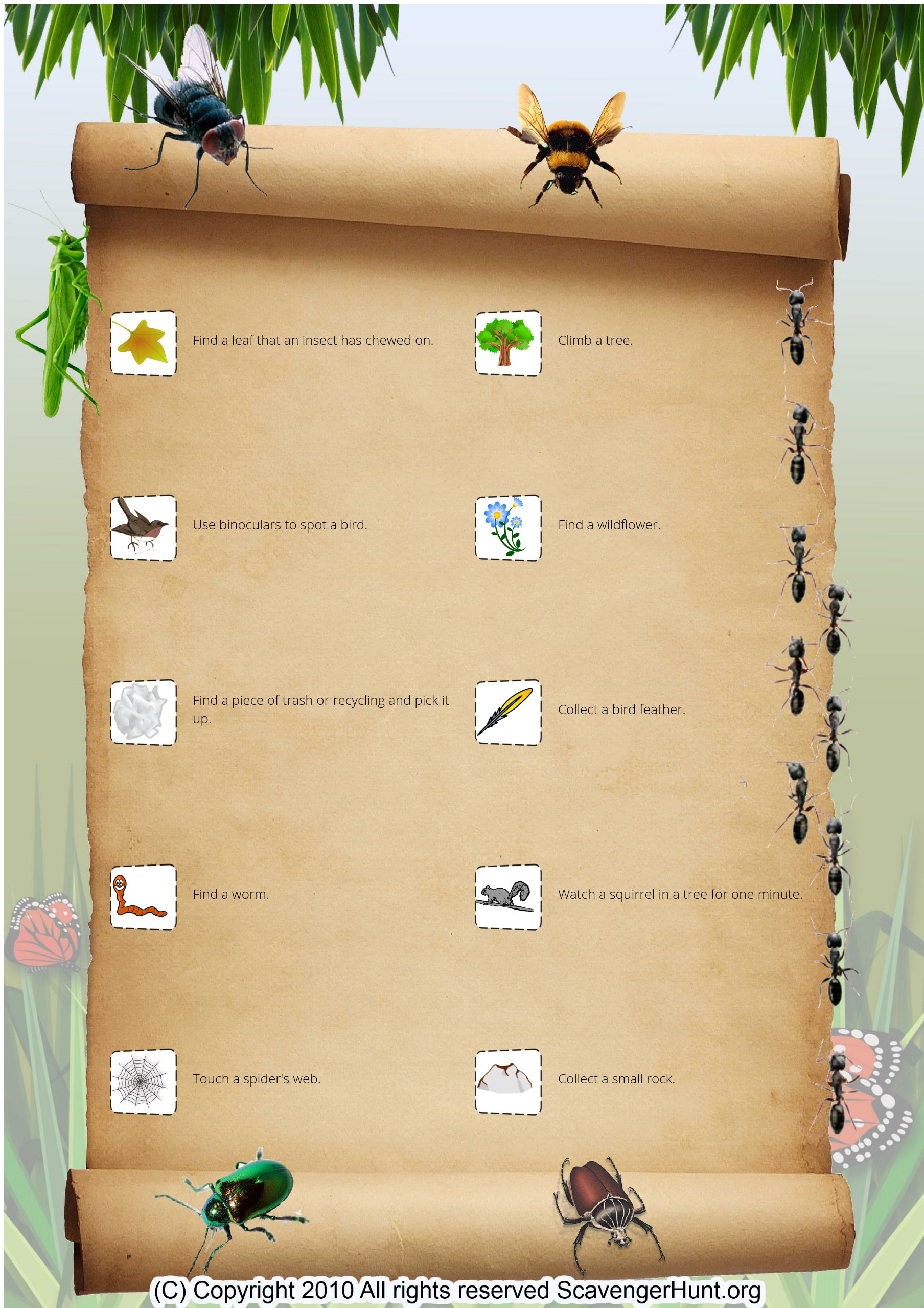 School Yard Nature Scavenger Hunt